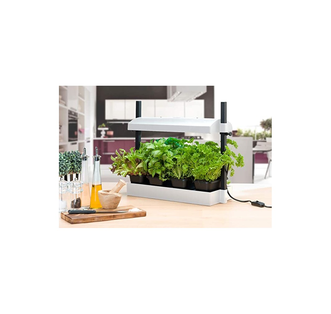 Irrigation Systems and Sets