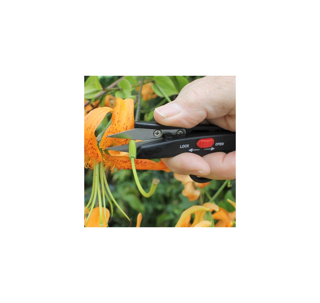 Deadheading Snip Darlac