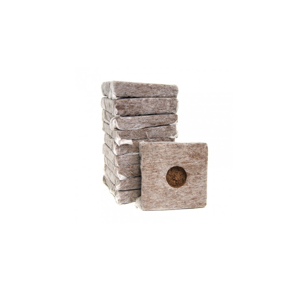 Set of 10 coco cubes 8x8x6,5cm - VG Garden