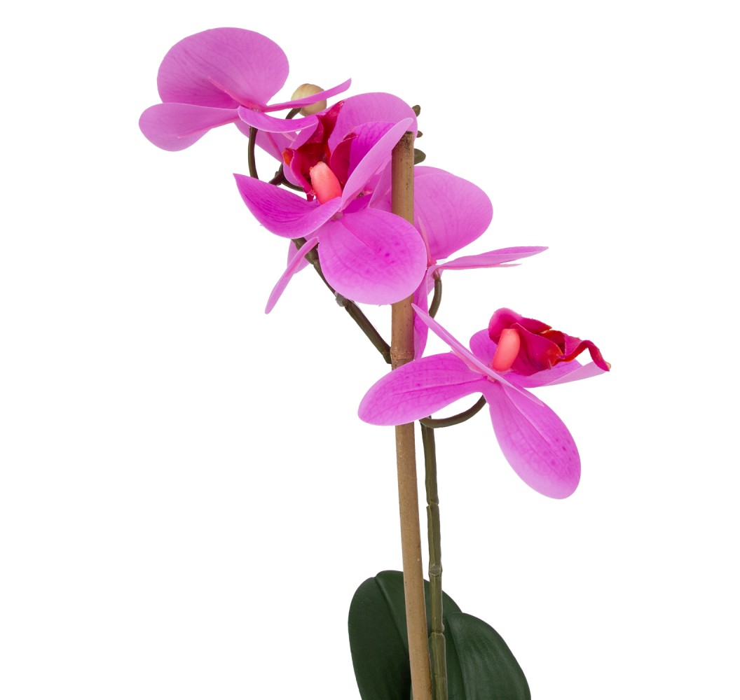 Lilla orhidee 1 oksaga IN GARDEN, H46cm, must pott