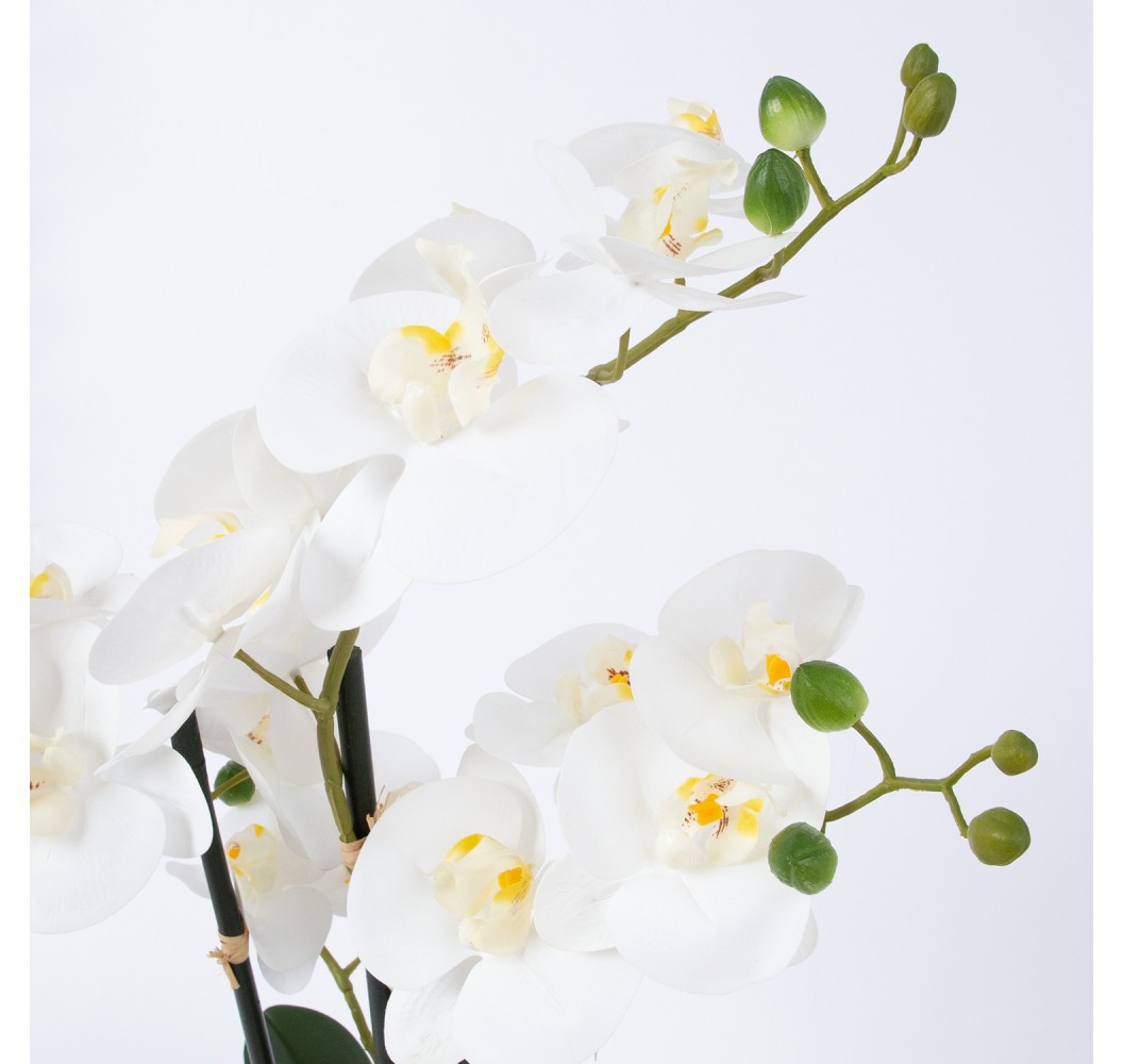 Valge orhidee 4 oksaga IN GARDEN, H55cm, hall pott